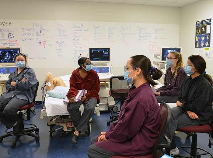 Sentara College of Health Sciences